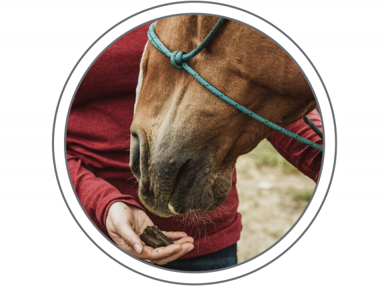 IND HEMP - – FOOD | FEED | FIBER | PLANET