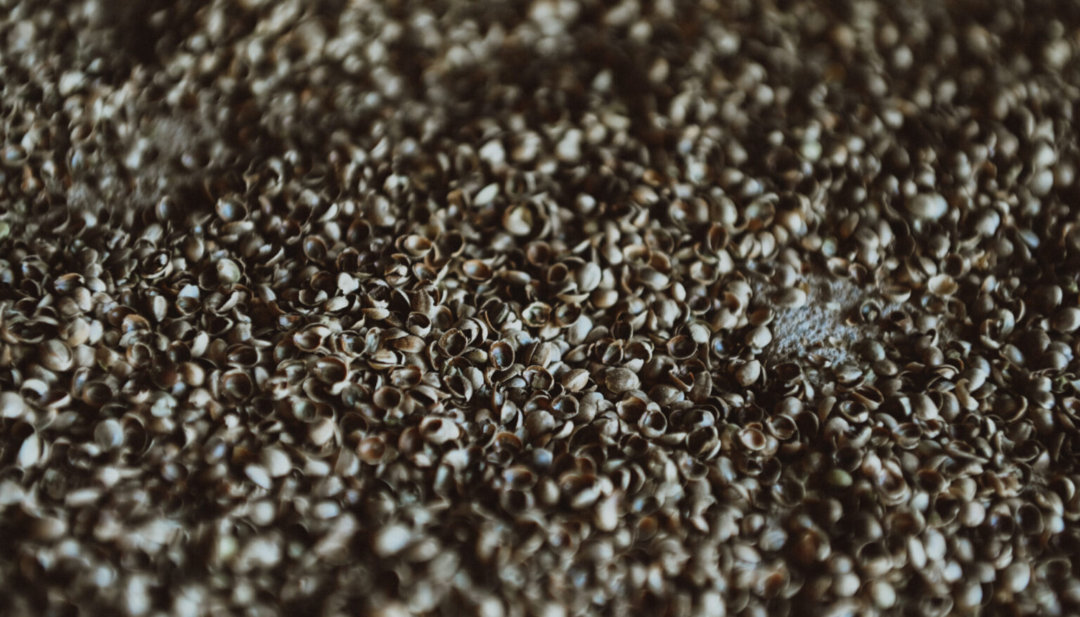 IND HEMP - – FOOD | FEED | FIBER | PLANET