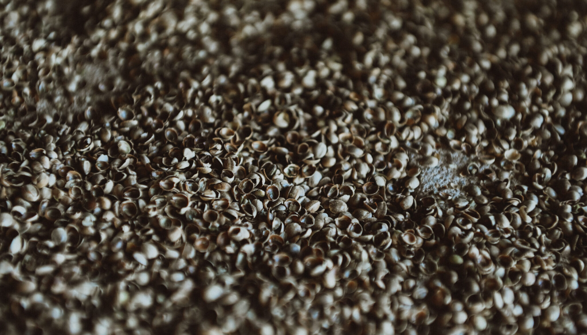 IND HEMP - – FOOD | FEED | FIBER | PLANET