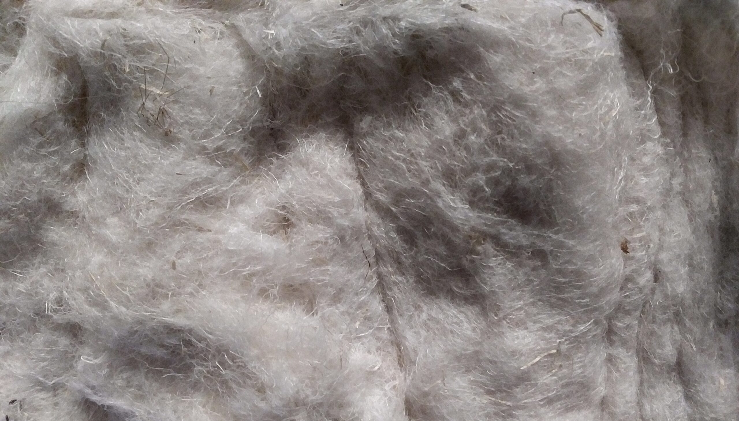 Regenerative Cellulose: A Potential Revolution in the Textile Industry ...