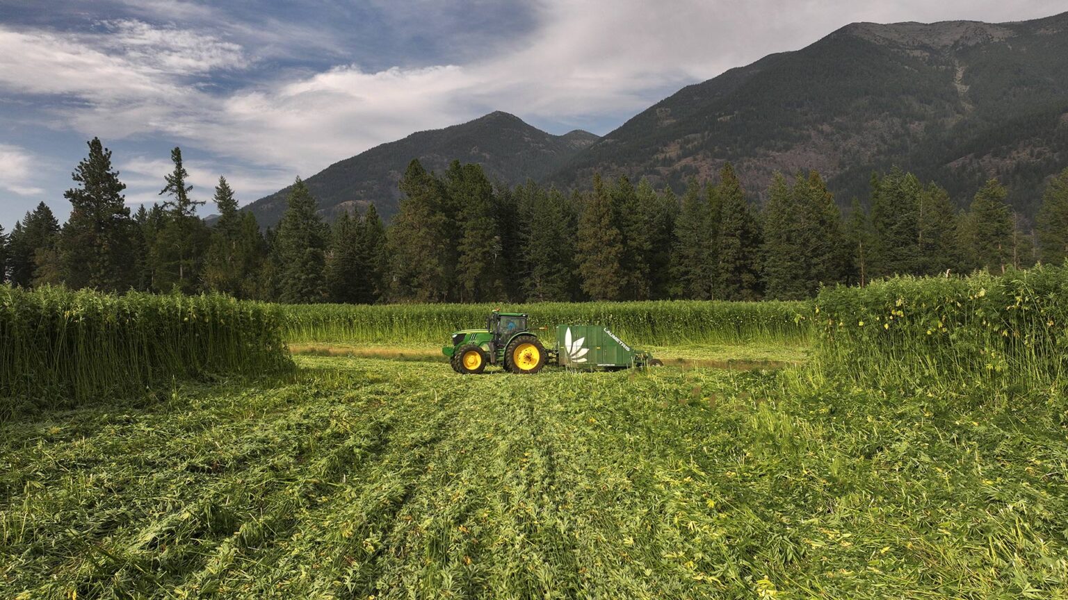 IND HEMP - – FOOD | FEED | FIBER | PLANET