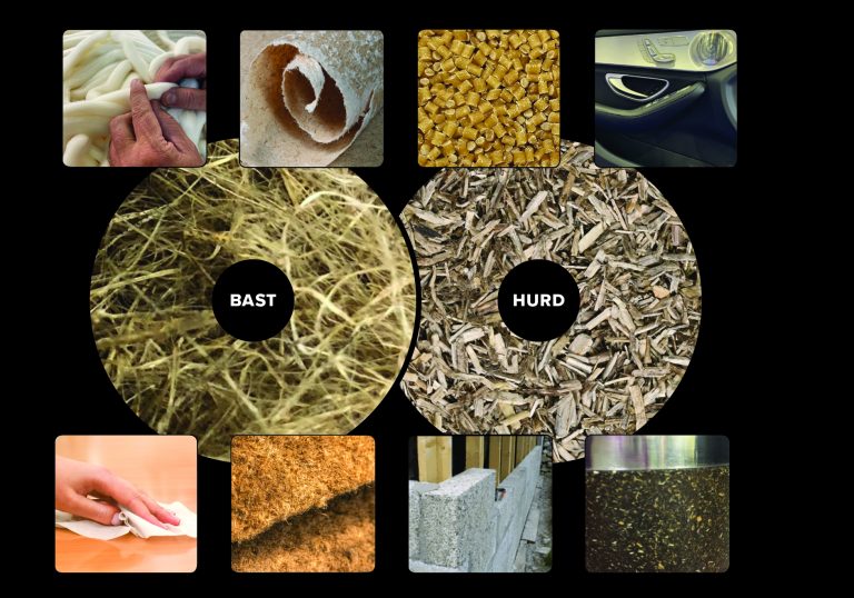 Hemp Fiber - IND HEMP