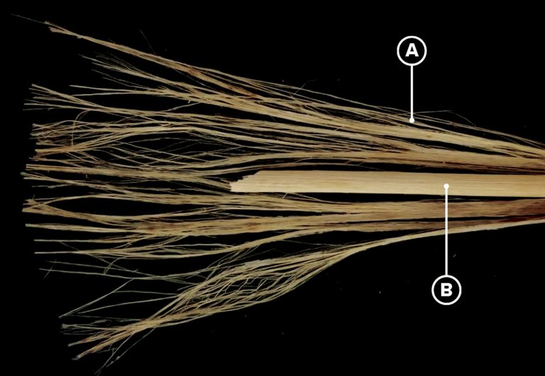 Hemp Fiber - IND HEMP